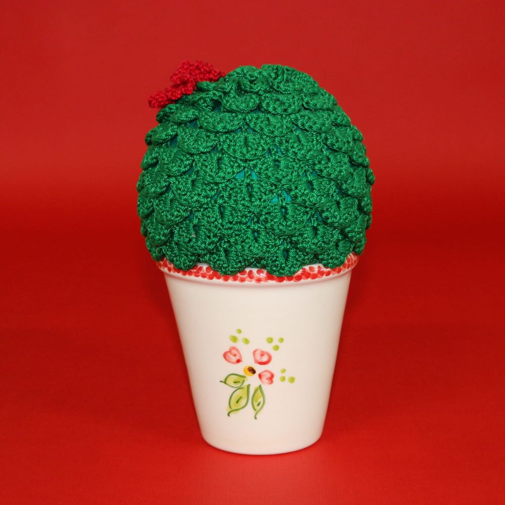 Manjerico | Surprise Me Now!